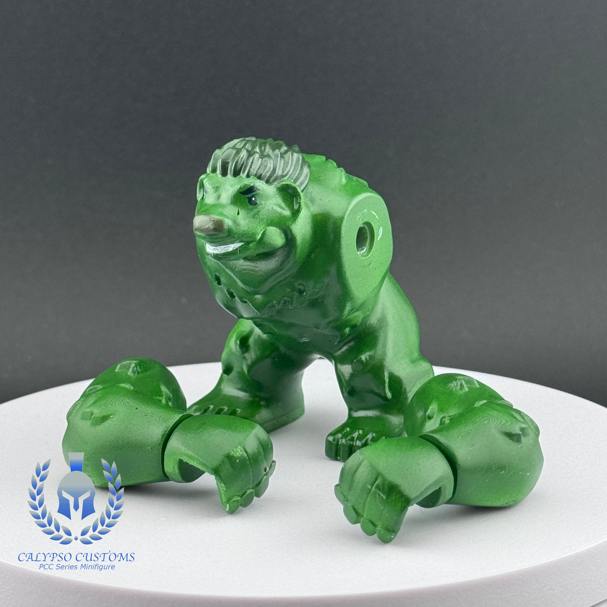 Calypso Customs Custom 3D Resin Printed Beast Boy DX Painted Epic ...