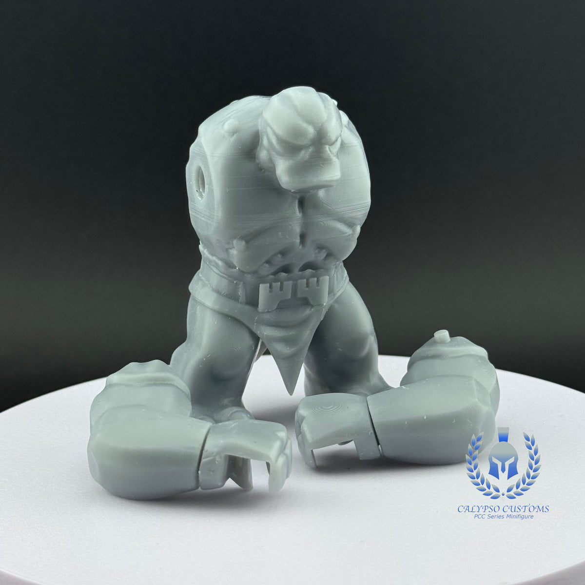 Calypso Customs Custom 3D Resin Printed Khem Val Dashade Male Custom 3D ...