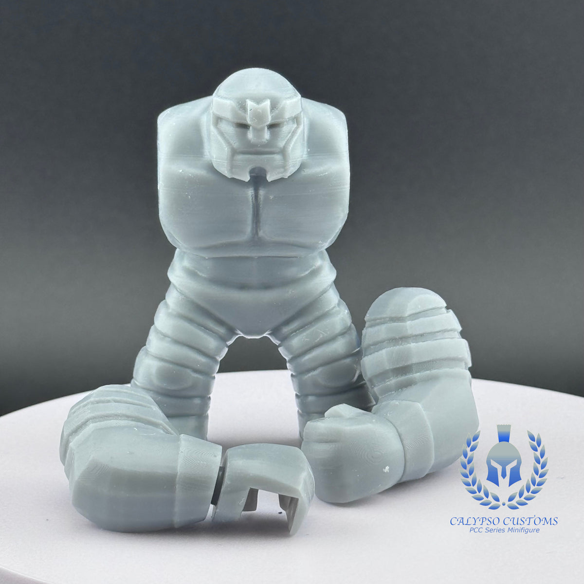 Calypso Customs Custom 3D Resin Printed Box Boches Custom 3D Printed ...