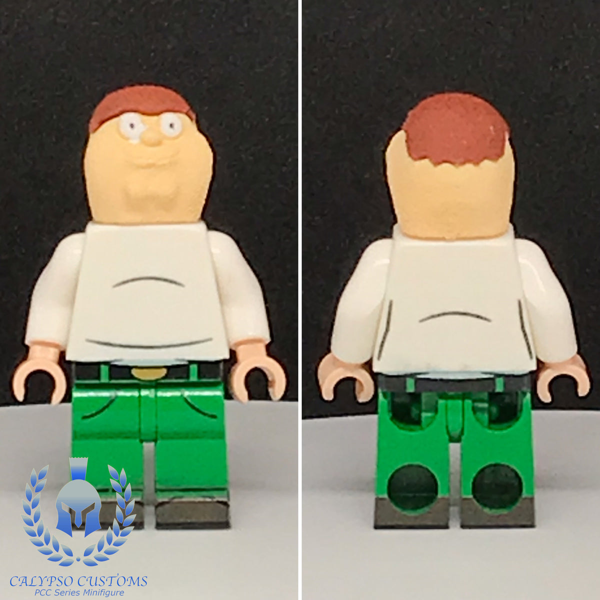 Calypso Customs Family Guy Peter Griffen Custom Printed PCC Series ...
